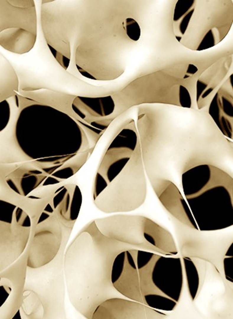 Cal PRO – Zeneka Corporation