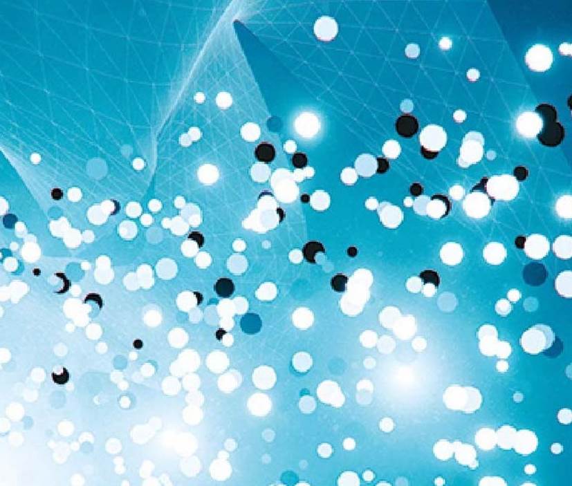 Cal PRO – Zeneka Corporation